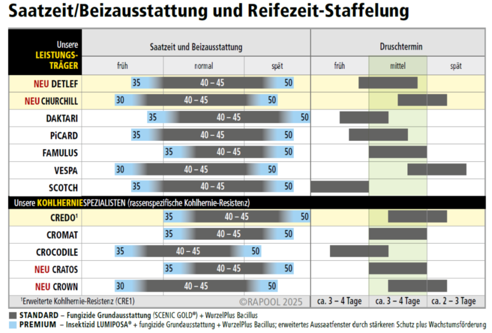 Raps lieber früher oder später säen? Und was tun, wenn es mal spät wird ...