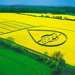 40 Jahre RAPOOL - RAPOOL