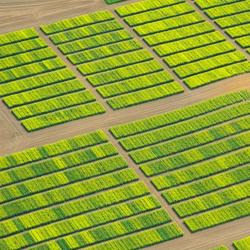 Raps: Unser Wissen für Ihren Erfolg - RAPOOL